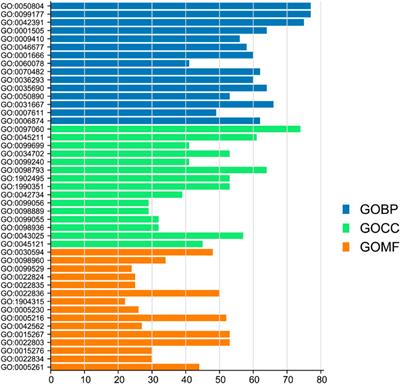 Frontiers | Mathematical algorithm–based identification of the functional components and ...